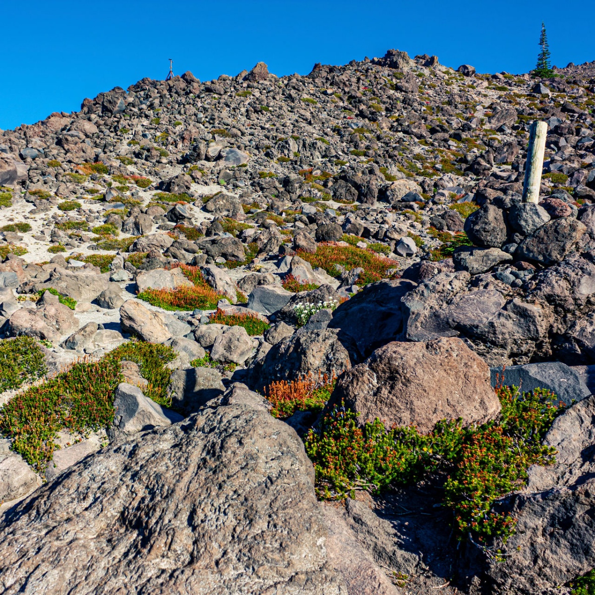 The 6 Best PNW Routes To Start Mountaineering