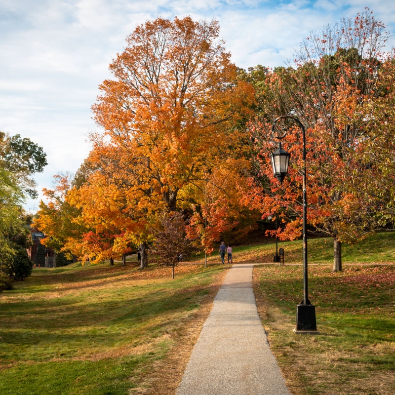 Framingham’s 6 Best Trail Running Loops