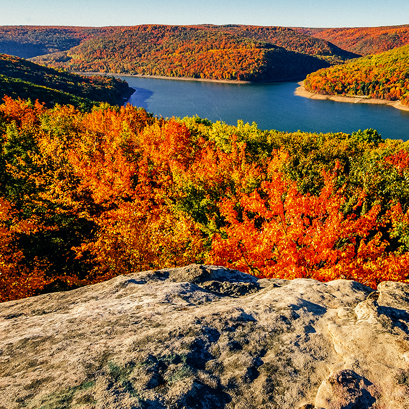Allegheny National Forest Backpacking - Morrison and Rimrock Trail