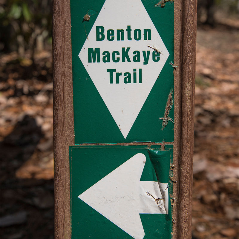 Backpacking Benton Mackaye Trail