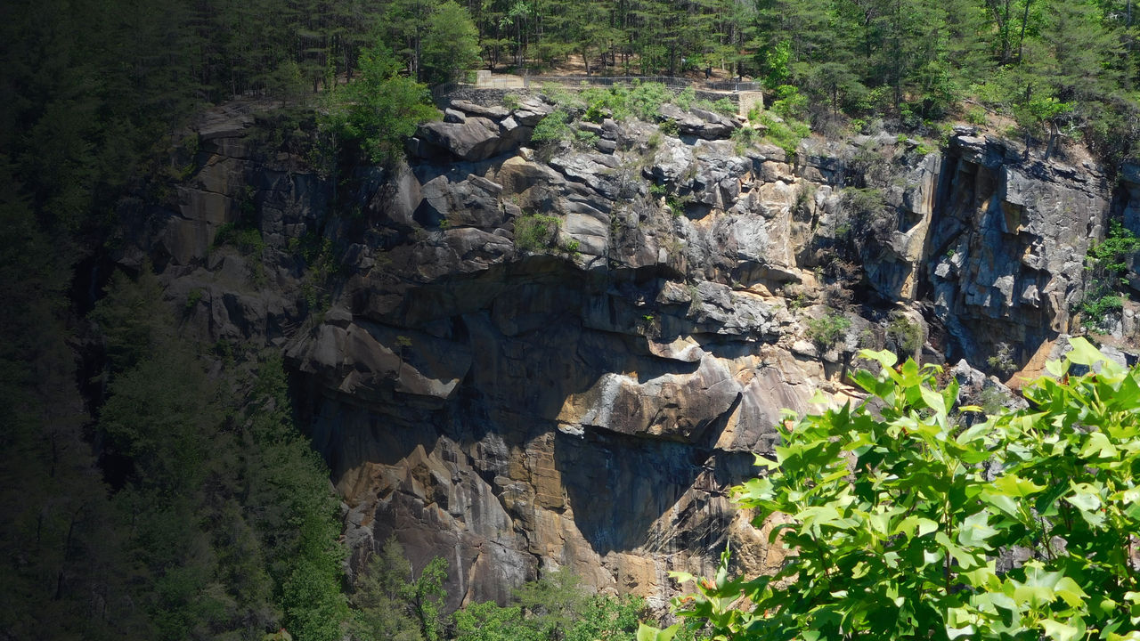 The Best Climbing in North Georgia