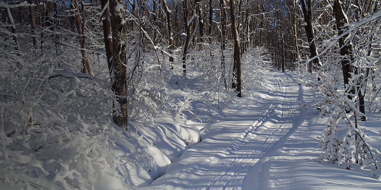 Ski and Snowshoe at Laurel Ridge