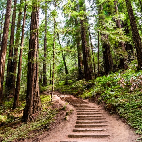 How To Experience Golden Gate National Recreation Area