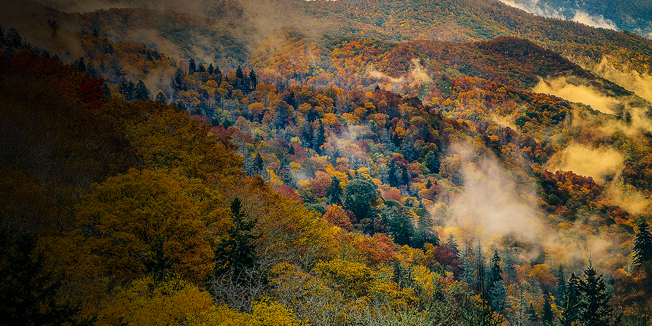Great Smoky Mountains National Park Essentials