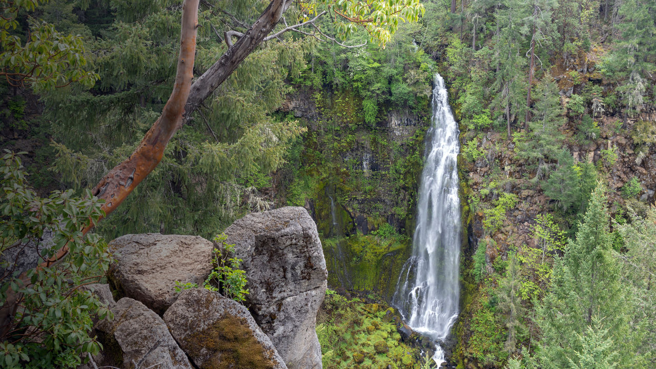 Short Hikes, Big Waterfall Views