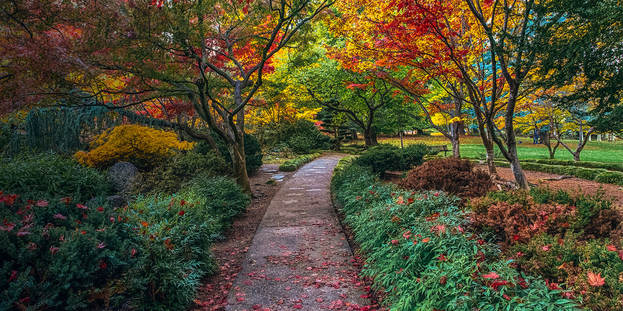Hiking Lithia Park's Kaleidoscope of Fall Colors