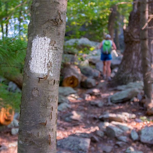 Understanding Trail Markers