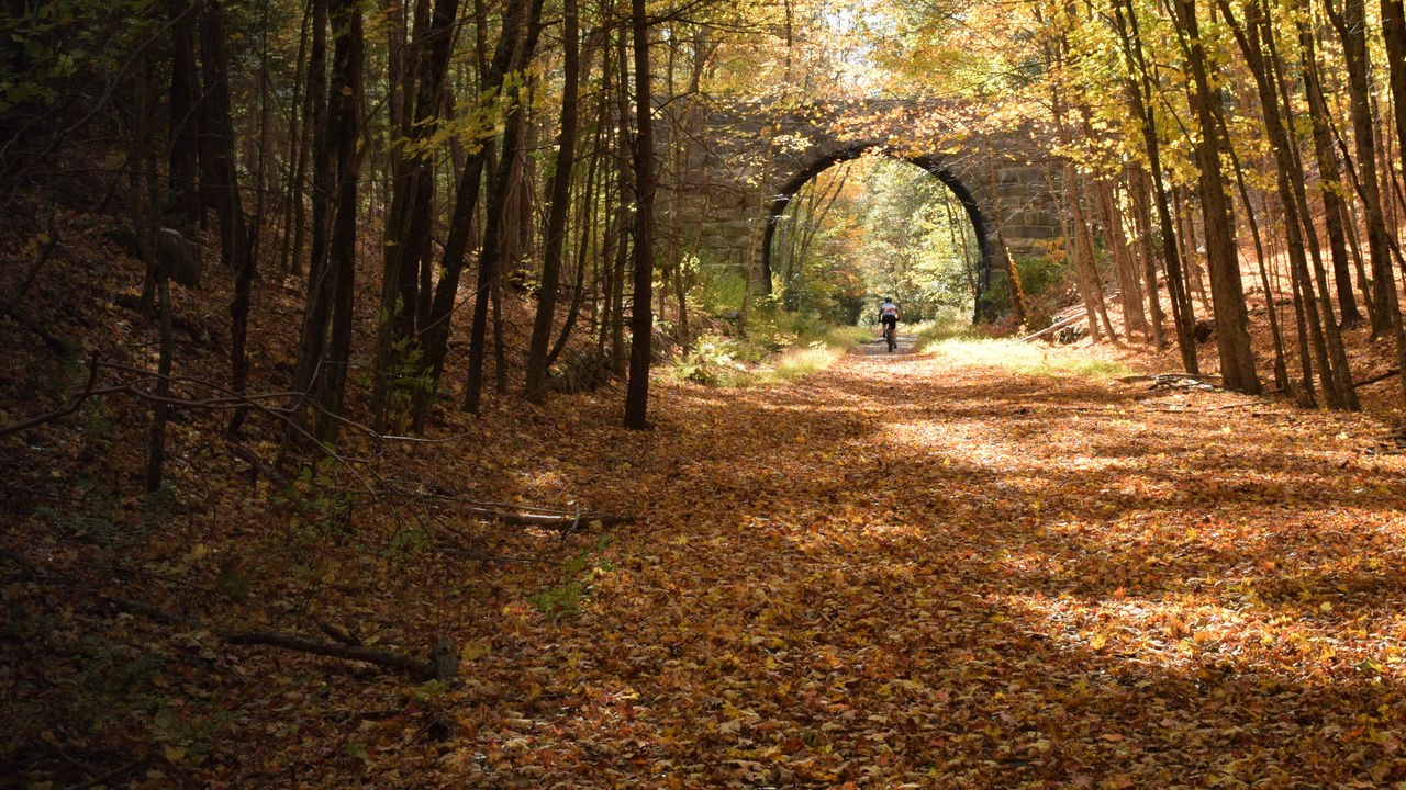 Mountain Biking Douglas State Forest