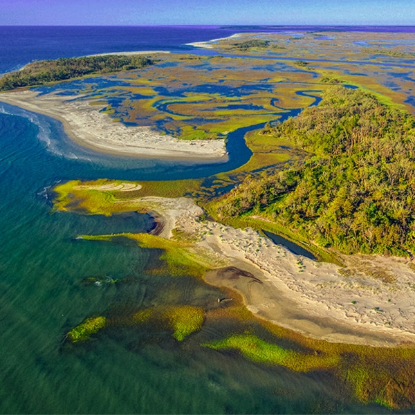 The Adventure Guide to Savannah