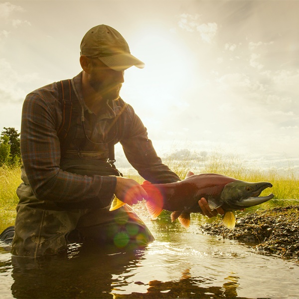 Public Lands in the United States