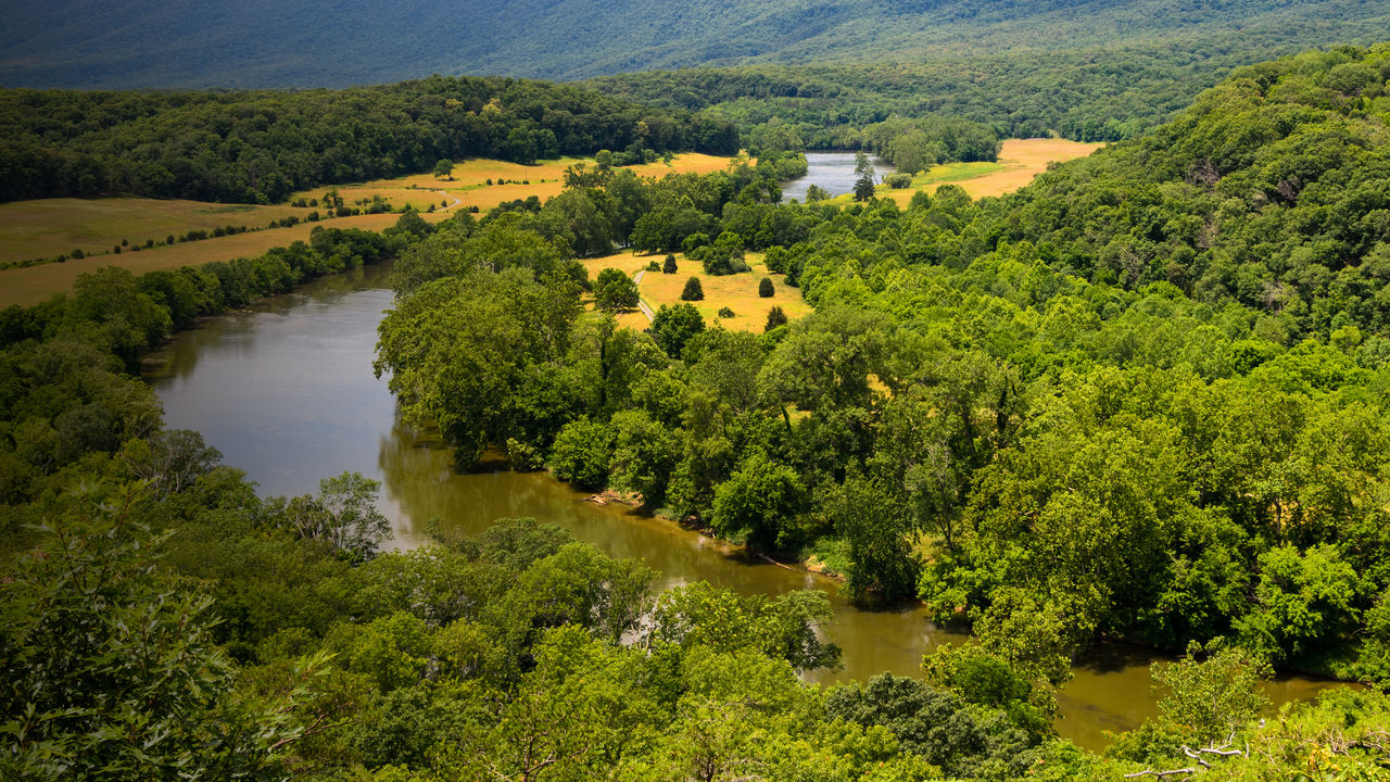 Paddling Guide to the Shenandoah River