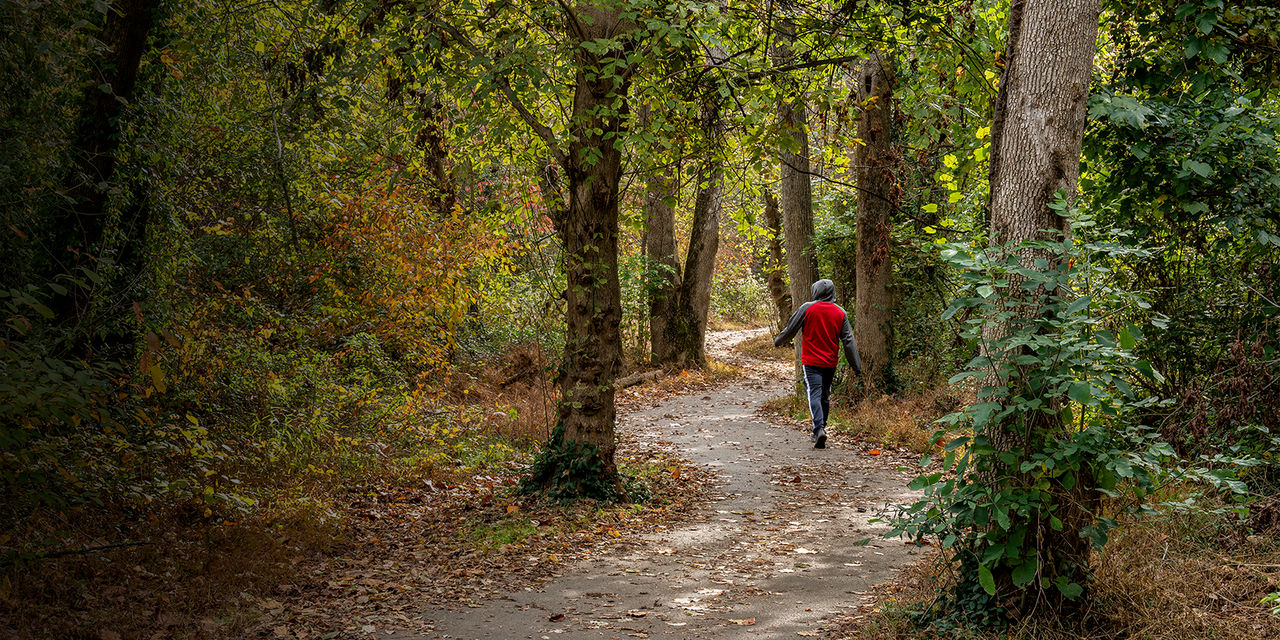 Running Charlottesville’s Rivanna Trail