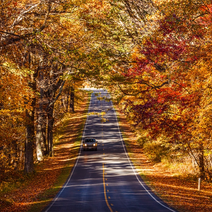 Why Shenandoah National Park Should Be Your Next Adventure