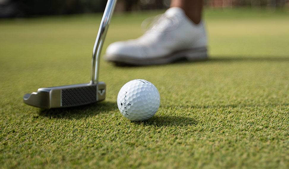 Best New Putters | From the Tips by Golf Galaxy